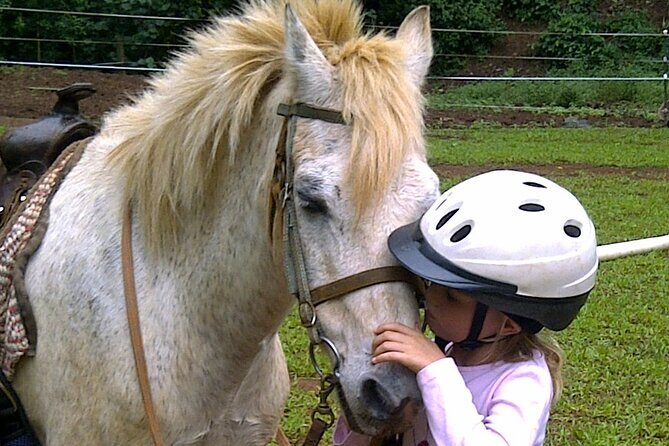 Horse riding excursion - Why This Tour Is a Great Value