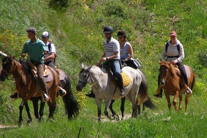 Horse Riding From Kusadasi Port / Hotels - Authentic Experiences and Traveler Feedback