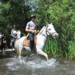 Horse Riding in Fethiye - What You’ll Love About This Tour