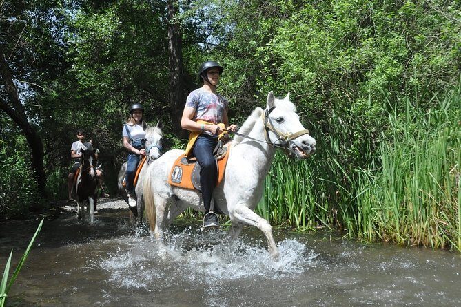 Horse Riding in Fethiye - What You’ll Love About This Tour
