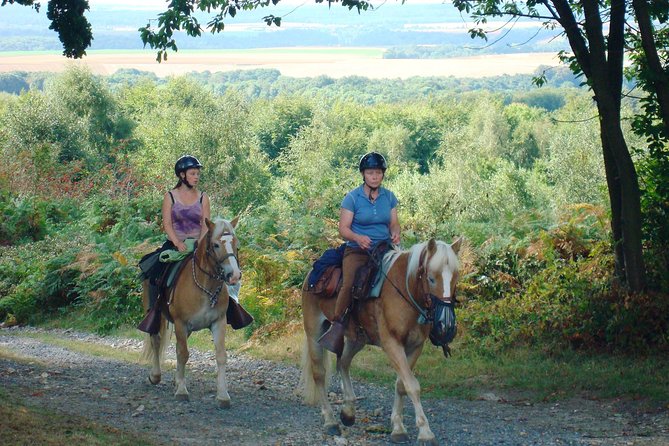 Horse riding in the French countryside - Introduction