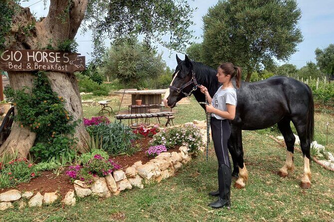 Horse riding in the Gargano National Park - The Wildlife Encounters: Buffalo and Cattle in the Wild