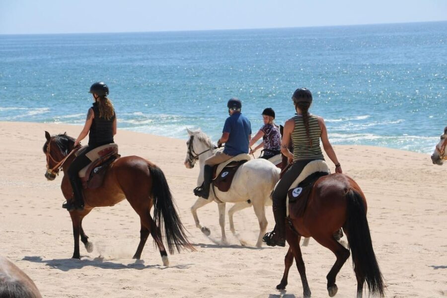 Horse riding in the Valley, near Lisbon - Who Should Consider This Tour?