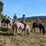 Horse riding in the vineyards of Grimaud + wine tasting - Who Will Get the Most Out of This Tour?