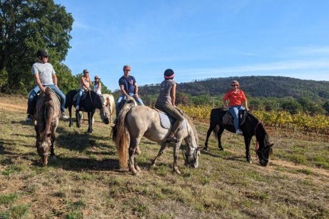 Horse riding in the vineyards of Grimaud + wine tasting - Who Will Get the Most Out of This Tour?