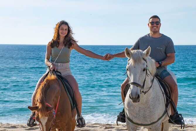 Horse Riding on Melides Beach - Authentic Experiences and Traveler Insights