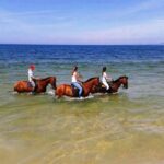 Horse riding on the beach, with private transfer from Lisbon - Authenticity and Real-Life Experience