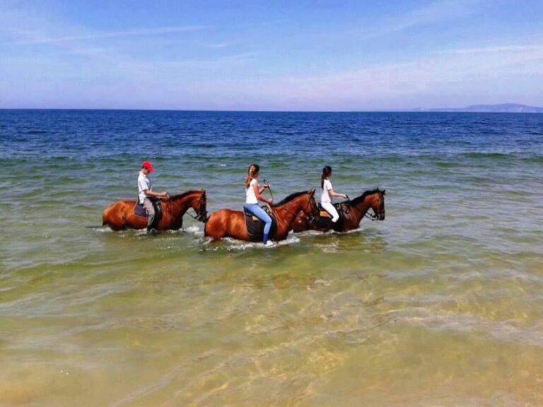 Horse riding on the beach, with private transfer from Lisbon - Authenticity and Real-Life Experience