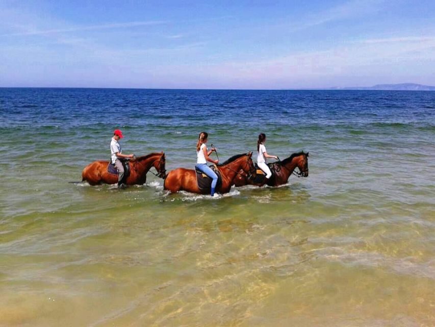 Horse riding on the beach, with private transfer from Lisbon - Authenticity and Real-Life Experience