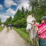 Horse riding the dirt trail. Clare. Guided. 1 hour - What Travelers Say