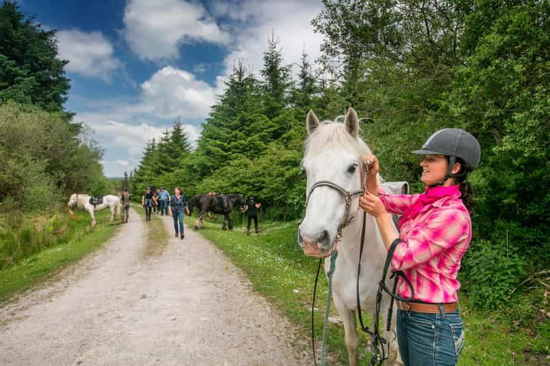 Horse riding the dirt trail. Clare. Guided. 1 hour - What Travelers Say
