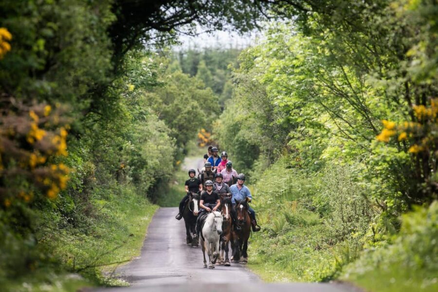 Horse riding the mountain trail. Clare. Guided, 2 hours - The Itinerary in Detail
