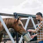 Horse Riding Through The valleys + food tasting - The Food Tasting: A Perfect Finish