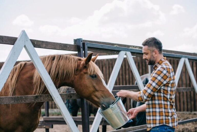 Horse Riding Through The valleys + food tasting - The Food Tasting: A Perfect Finish