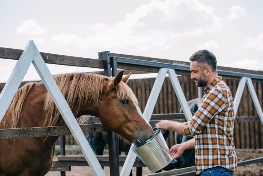 Horse Riding Through The valleys + food tasting - The Food Tasting: A Perfect Finish