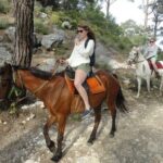 Horse Riding Tour in Bodrum with Hotel Pick Up - An In-Depth Look at the Bodrum Horse Riding Experience