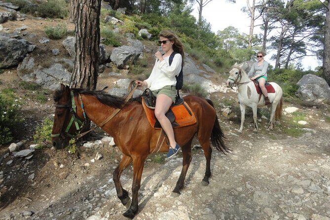 Horse Riding Tour in Bodrum with Hotel Pick Up - An In-Depth Look at the Bodrum Horse Riding Experience