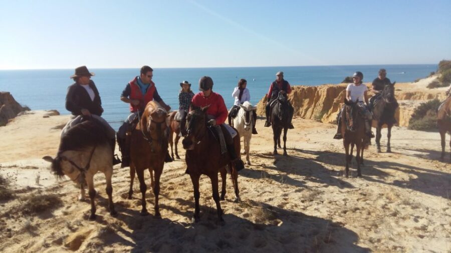 Horse-Riding Tour in Doñana National Park - Why This Tour Is Worth Considering
