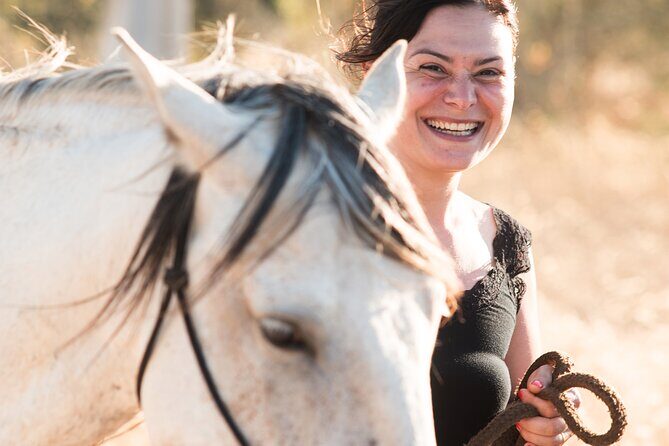 Horse Sanctuary: A nature walk with Rescued Horses by your side - The Rescued Horses and Their Stories