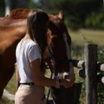 Horse Sanctuary in Rome - Itinerary Breakdown: What Makes Each Part Special