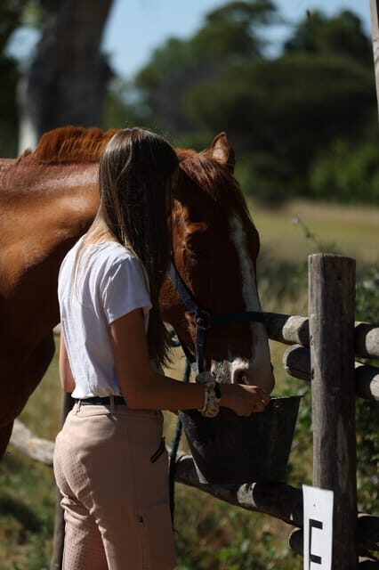 Horse Sanctuary in Rome - Itinerary Breakdown: What Makes Each Part Special