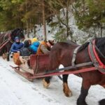Horse Sleigh 2-3h Ride with Hot Springs or Zakopane Combos - Breaking Down the Experience