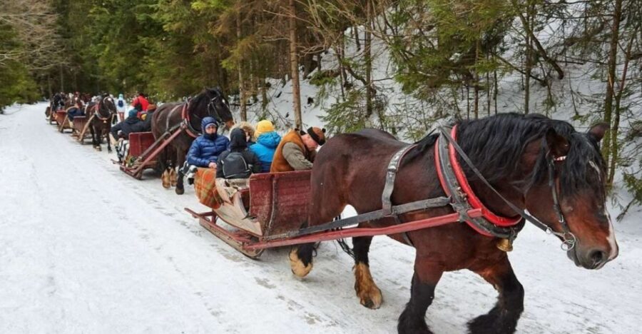 Horse Sleigh 2-3h Ride with Hot Springs or Zakopane Combos - Breaking Down the Experience
