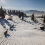 Horse Sleigh Ride in the Polish Countryside, private tour from Krakow - The Value in Authenticity and Comfort