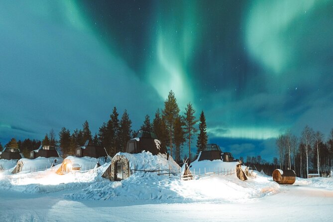 Horse Sleigh Ride Under The Night Sky in Apukka Resort, Rovaniemi - Who Should Consider This Tour?