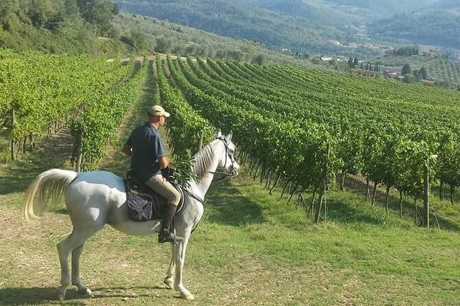 Horseback ride and gourmet cuisine in a historic food shop - Key Points