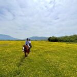 Horseback Riding Across River Ljuta with transport - The Sum Up: Why This Tour Offers Genuine Value