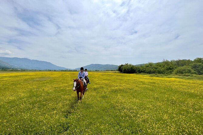 Horseback Riding Across River Ljuta with transport - The Sum Up: Why This Tour Offers Genuine Value