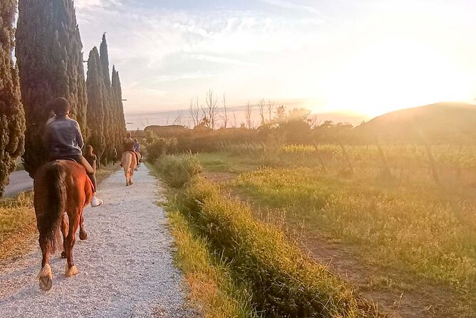 Horseback riding and aperitif 2 hours for beginners - Horseback Riding and Aperitif for Beginners in Pisa: An Honest Look