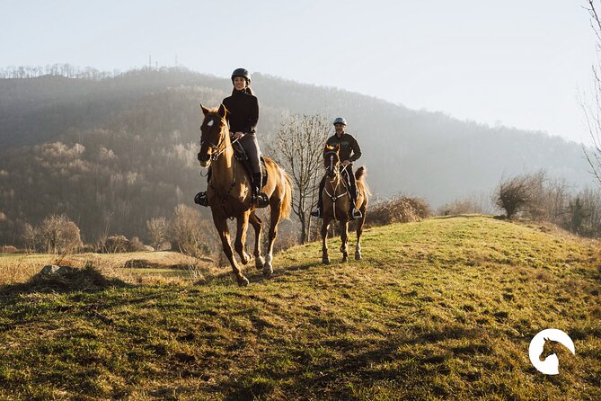Horseback riding for experts between the lake and the mountains - Horseback Riding for Experts Between the Lake and the Mountains: A Thorough, Authentic Adventure