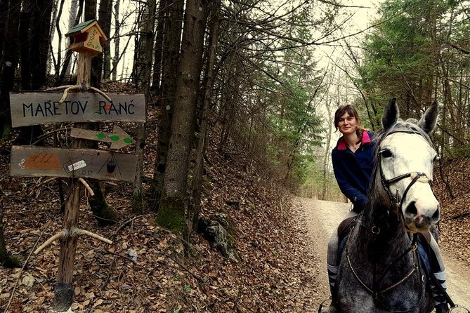 Horseback Riding In Bled - Introduction