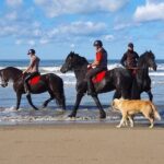 Horseback riding in Durrës - The Horses and the Guides: What Makes This Special