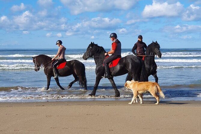 Horseback riding in Durrës - The Horses and the Guides: What Makes This Special
