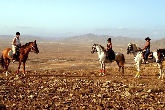 Horseback Riding in Fuerteventura for 1 or 2 hours, Spain - What Do the Reviews Say?