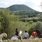 Horseback Riding in Randa Valleys, Mallorca, Spain - The Experience’s Strengths and Possible Drawbacks