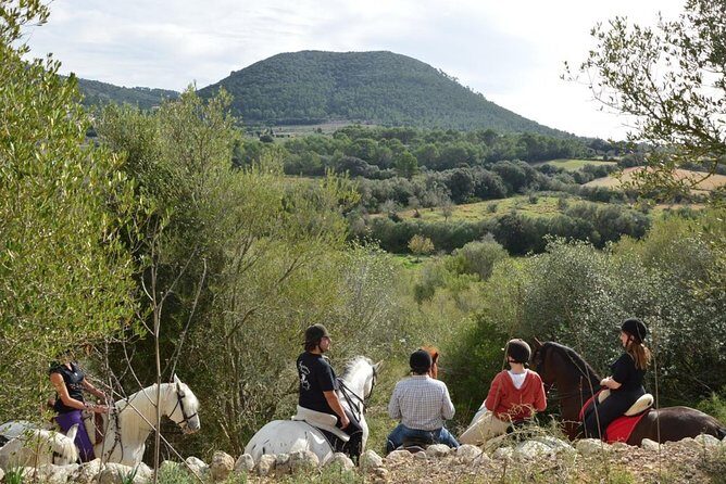 Horseback Riding in Randa Valleys, Mallorca, Spain - The Experience’s Strengths and Possible Drawbacks