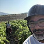 Horseback riding through the olive groves of Sciacca - What Makes This Experience Valuable for Travelers?