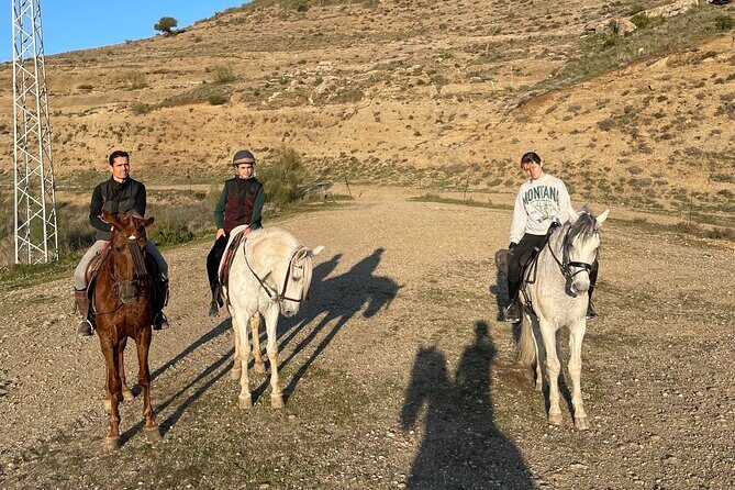Horseback Riding with Certified Guide - Why This Tour Provides Real Value