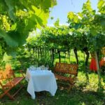 Horseback Riding with Wine and Food Tasting in Lazise Countryside - Return Journey: Riding Back with Views