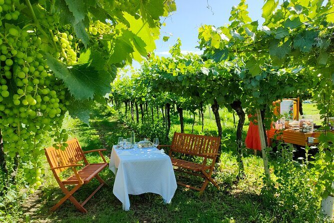 Horseback Riding with Wine and Food Tasting in Lazise Countryside - Return Journey: Riding Back with Views