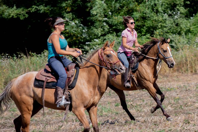 Horsemanship Experience - Introduction