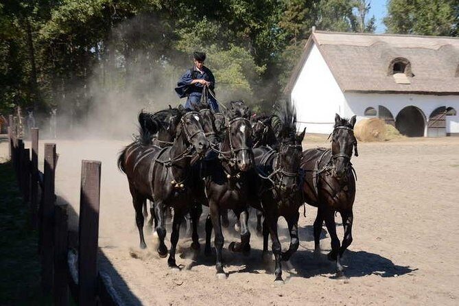 Horseshow on the Hungarian Puszta, private tour from Budapest with entry! - Practical Details: What to Expect