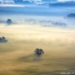 Hot Air Balloon Flight in Loire Valley - Practical Details & What You Can Expect