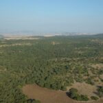 Hot Air Balloon Flight in the Sibari Plain for Small Groups - Frequently Asked Questions