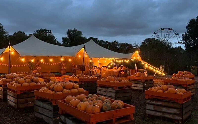 Hounslow: Pumpkin Patch Plus Entry to Hobbledown Heath - Why You’ll Love the Experience
