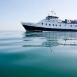 Howth - Howth Cliffs & Ireland's Eye 1 hour Tour - Practical Information: What to Know Before Booking